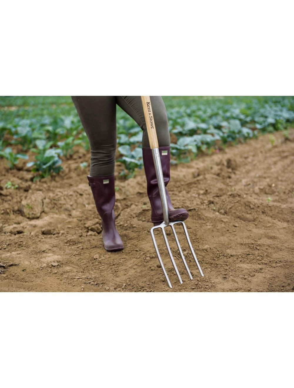 Heavy Duty Traditional Stainless Steel Head Digging Fork with Ash Wood ...