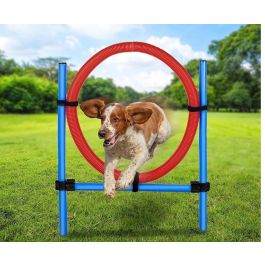 Dog Agility Jump Ring Obstacle Exercise Pole Set Obedience Training ...